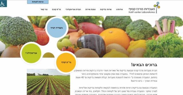 Alef Solution - Promoting your business on the Internet